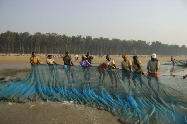 Bankiput is the most unexplored virgin sea beach just 160 KM from Kolkata