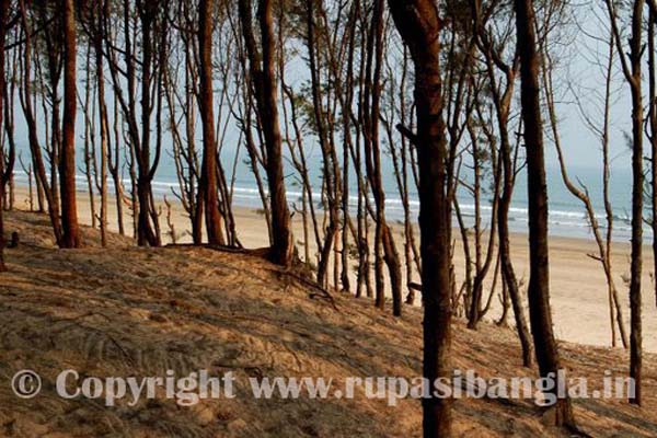 Bankiput is the most unexplored virgin sea beach just 160 KM from Kolkata