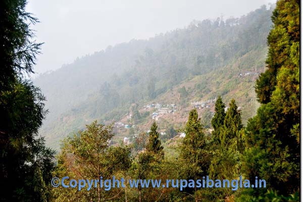 Icchey Gaon near Kalimpong is lovely village surrounded by dense forest