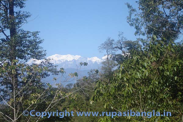 Icchey Gaon near Kalimpong is lovely village surrounded by dense forest
