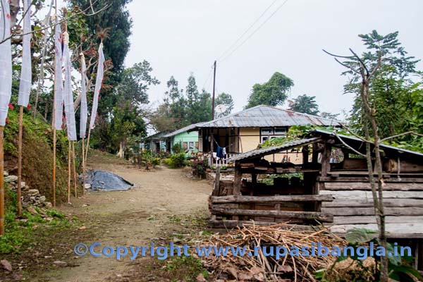 Icchey Gaon near Kalimpong is lovely village surrounded by dense forest